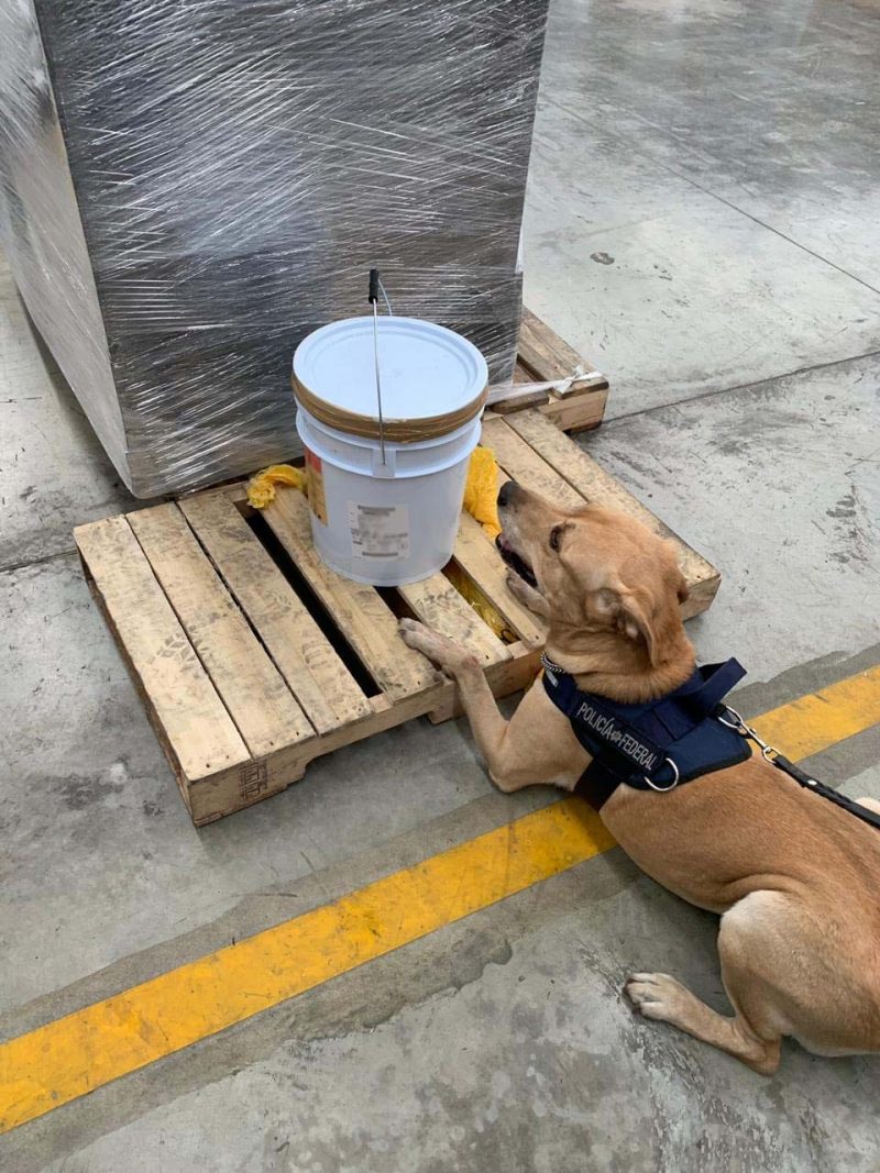 BINOMIO EXTASIS 2 – Primera Plana Digital