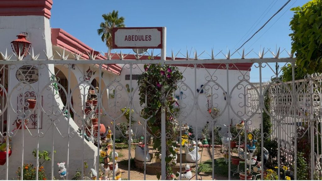 10 Patos – Primera Plana Digital