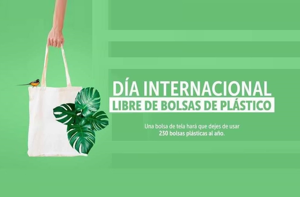 Efemérides de Hoy: «Día Internacional Libre de Bolsas de Plástico» – Primera Plana Digital