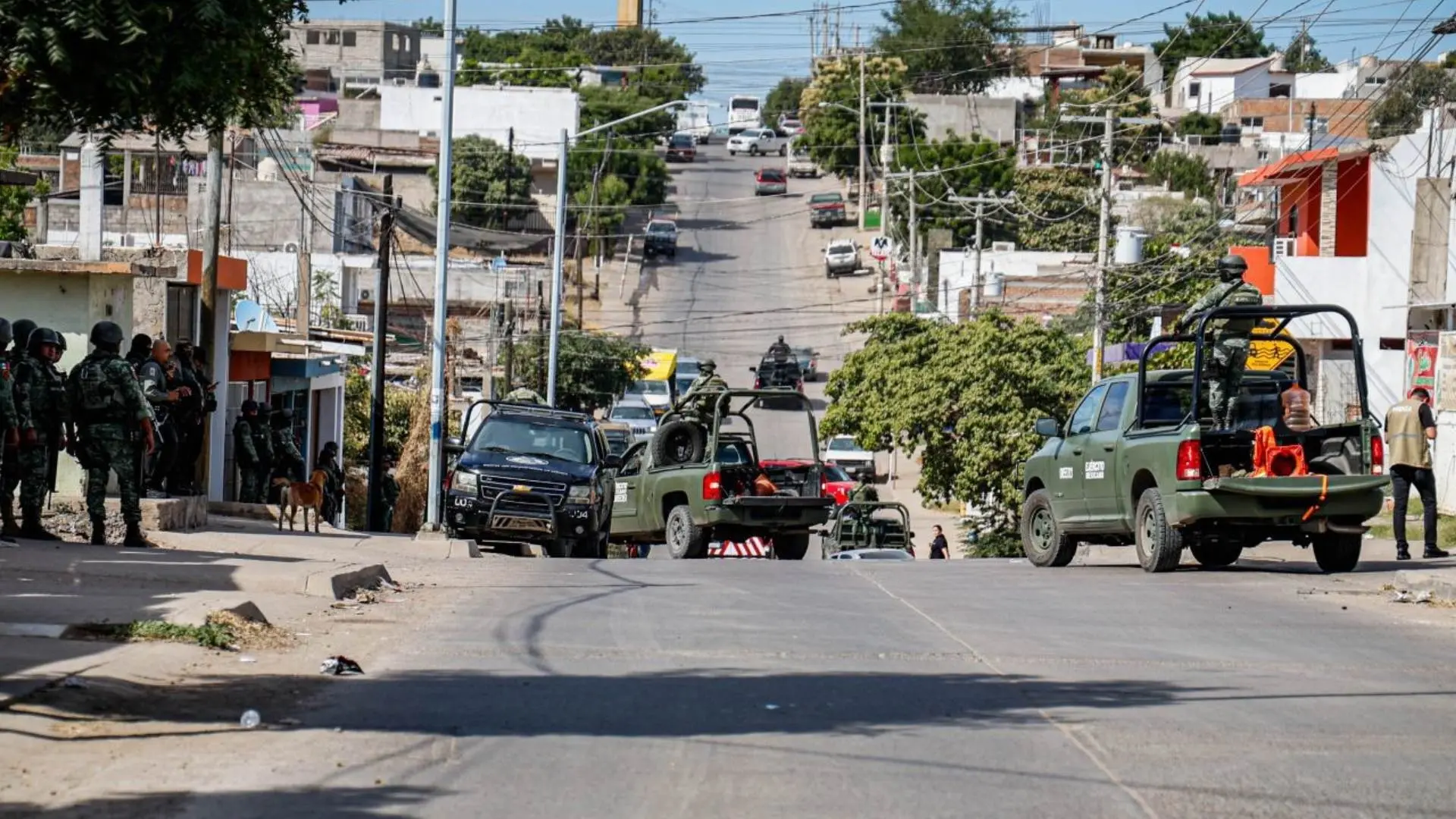 Ola de violencia en Sinaloa deja al menos 41 muertos en seis días ...