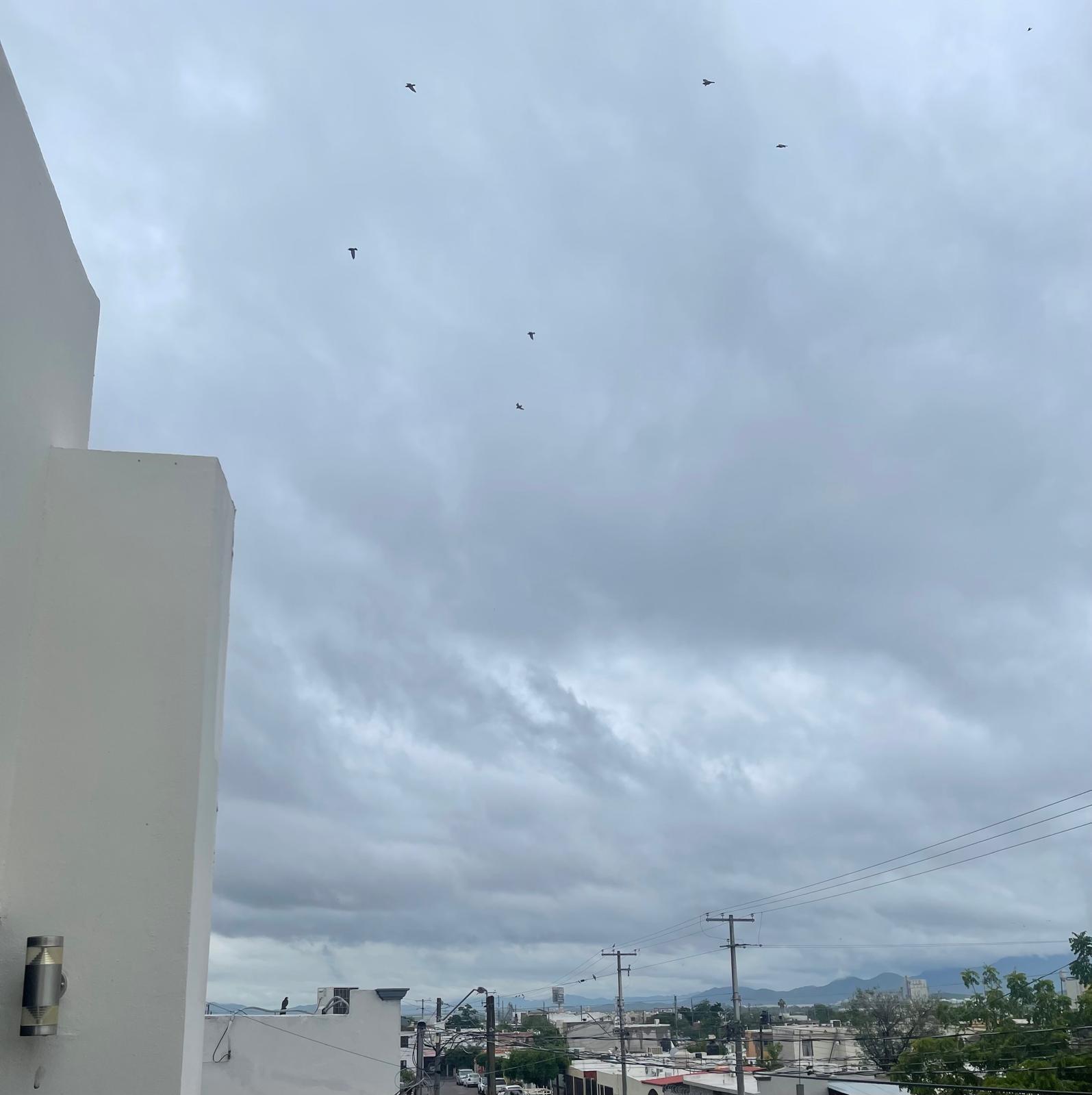 Amanece Hermosillo con clima muy «otoñal» – Primera Plana Digital